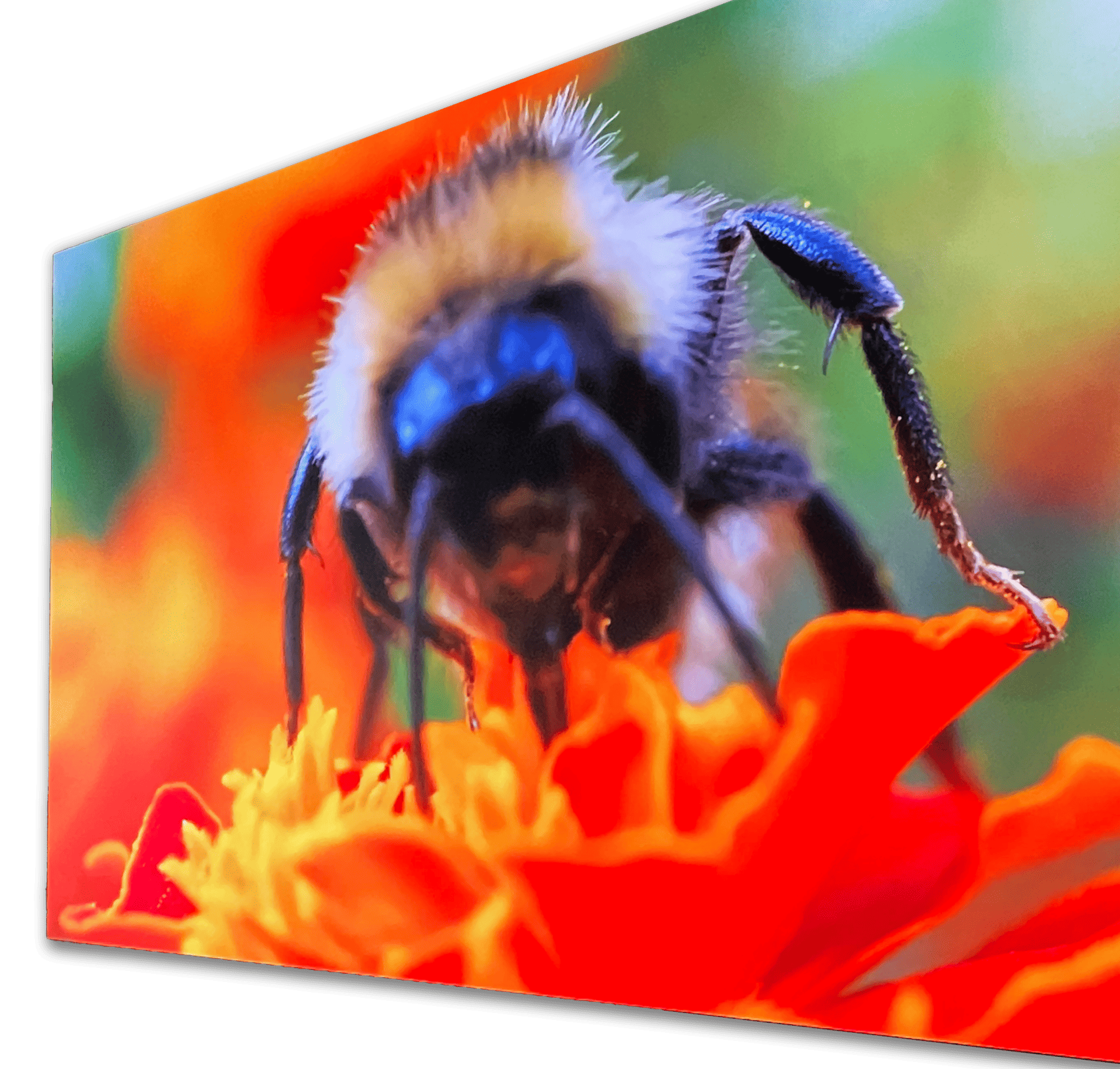 Firefly LED | LED Display, Screens, and Panels